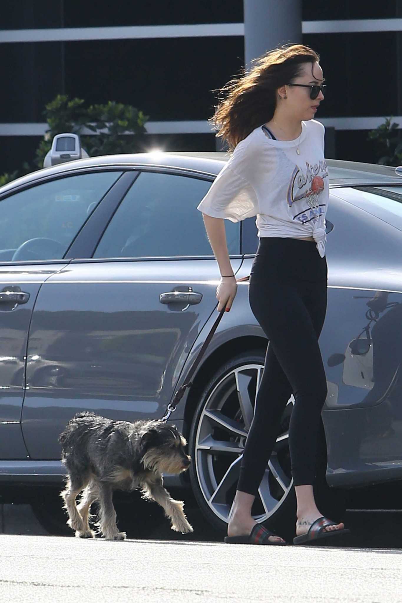 Out with her dog in West Hollywood on March 17 - Dakota Johnson - Out ...